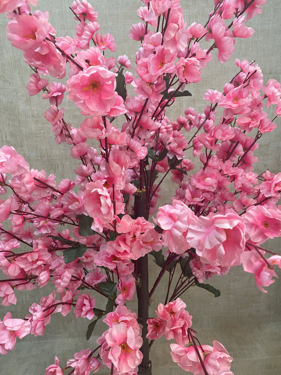 Planta Cerezo Tronco Rosado – Casa viva